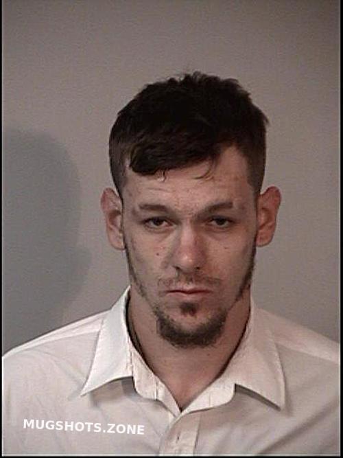 FIDLER TYLER MICHAEL 03/19/2021 - Rappahannock Regional Jail Mugshots Zone
