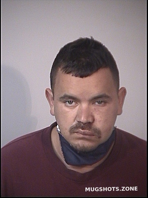 SERPAS ULISES STEVE 03/19/2021 - Rappahannock Regional Jail Mugshots Zone