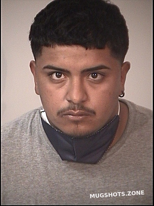 PALACIUS-DE LA ROSA ADAM 03/22/2021 - Rappahannock Regional Jail ...