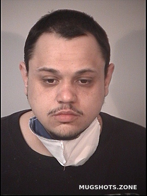 AUSTIN ROBERT LEE 04/13/2021 - Rappahannock Regional Jail Mugshots Zone