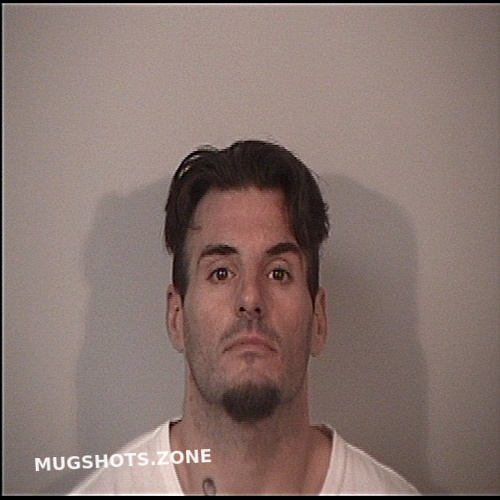 REISER ROLAND KLAUS 03/08/2022 - Rappahannock Regional Jail Mugshots Zone