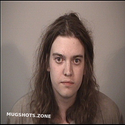 COOK BRENDAN ALEXANDER 04/06/2022 - Rappahannock Regional Jail Mugshots ...