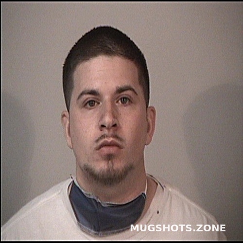 GRAY SEAN MICHAEL 06/09/2022 - Rappahannock Regional Jail Mugshots Zone