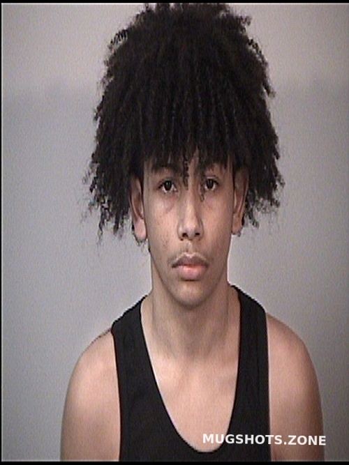 FORD DEREK DARNELL 04/17/2023 - Rappahannock Regional Jail Mugshots Zone