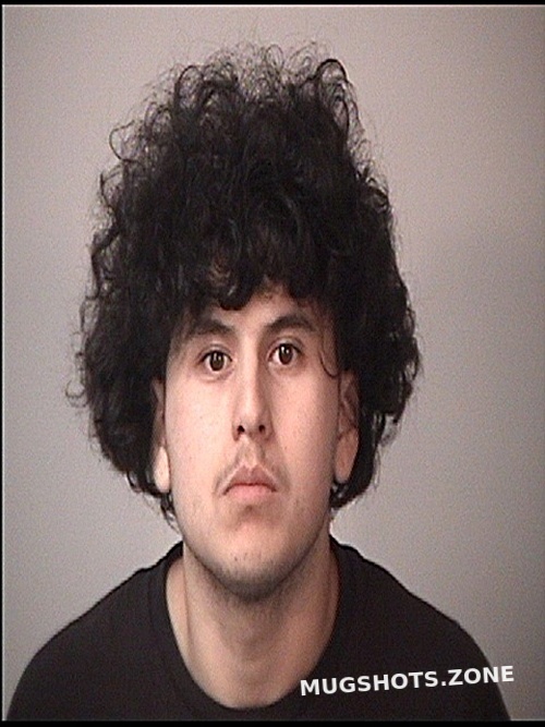 TREJO MEDINA EMMANUEL ALEXIS 08/22/2023 - Rappahannock Regional Jail ...