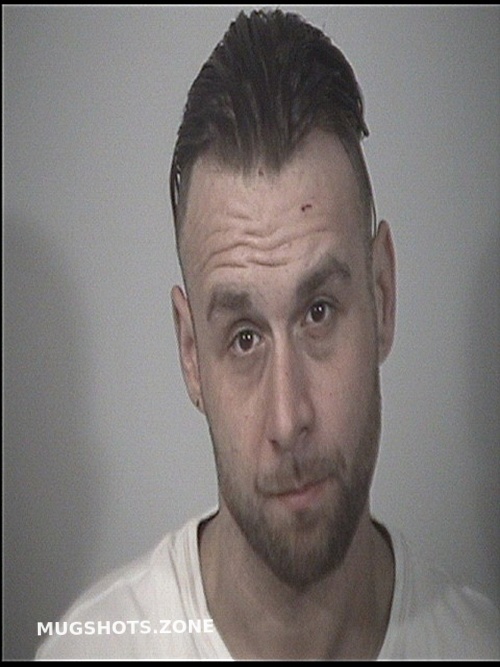 WISEMAN KYLE THOMAS 01/22/2024 - Rappahannock Regional Jail Mugshots Zone
