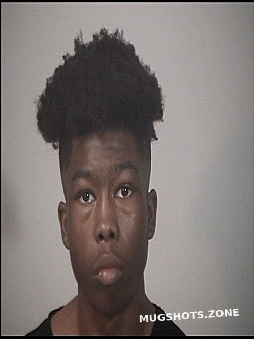 FITZ SINCERE DEVON 04/18/2024 - Rappahannock Regional Jail Mugshots Zone