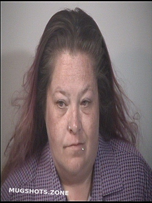 HILDEBRAND AMANDA RAIN 05/26/2024 - Rappahannock Regional Jail Mugshots ...