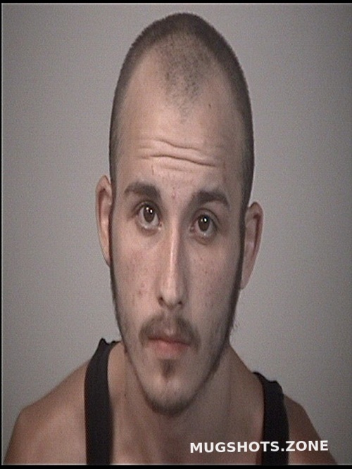 WILSON DAVID ALLEN 07/16/2024 - Rappahannock Regional Jail Mugshots Zone