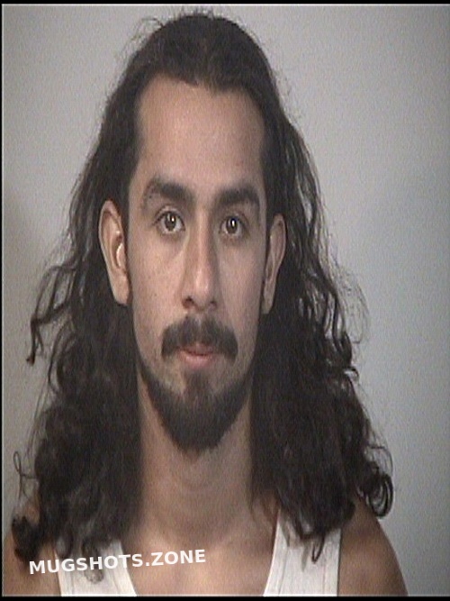 PEREZ ANGEL DANIEL ALEJANDRO 08/31/2024 - Rappahannock Regional Jail Mugshots Zone