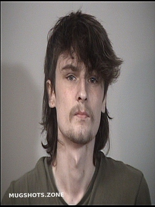 SULLIVAN JACOB TYLER 11/15/2024 - Rappahannock Regional Jail Mugshots Zone