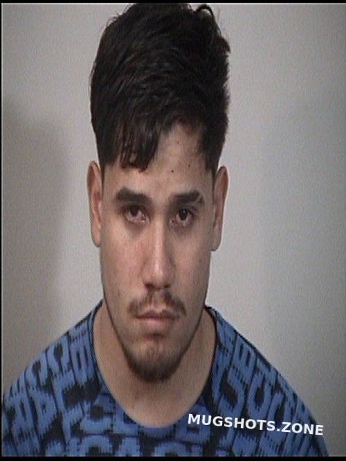 RAMIREZ YBANEZ LEONARDO RAFAEL 11/18/2024 - Rappahannock Regional Jail ...
