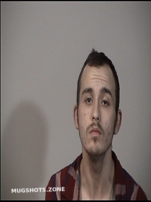 WILSON DAVID ALLEN 11/19/2024 - Rappahannock Regional Jail Mugshots Zone