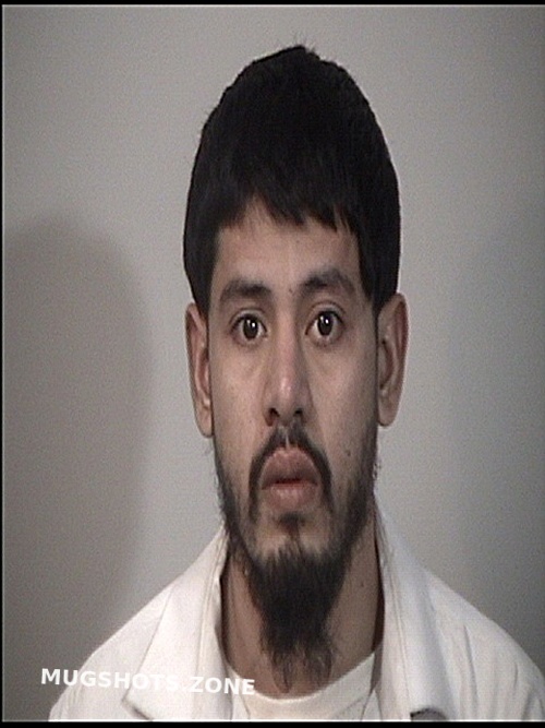ARGUETA RODRIGUEZ MIGUEL ANGEL 11/23/2024 - Rappahannock Regional Jail ...
