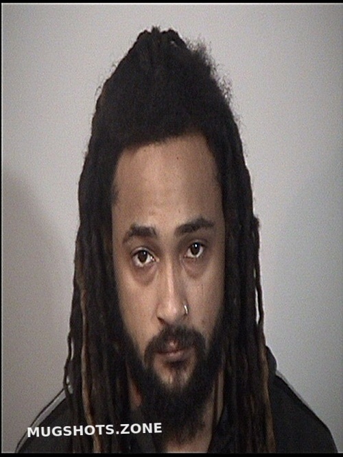 WELLS BRADRICK MICHAEL 11/24/2024 - Rappahannock Regional Jail Mugshots ...