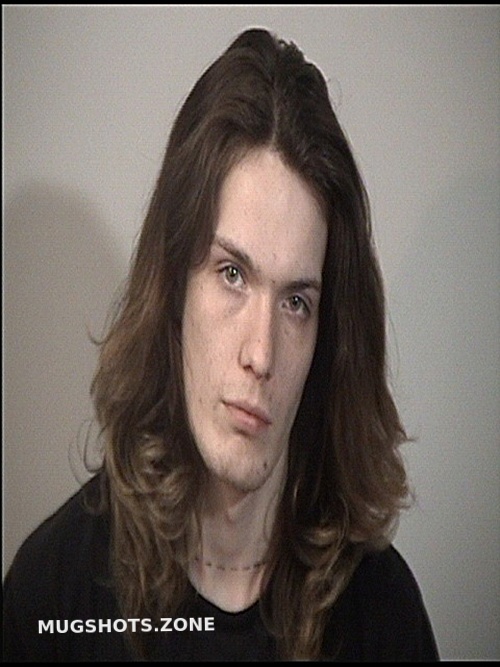 LOUIS MICHAEL COLE 11/30/2024 - Rappahannock Regional Jail Mugshots Zone