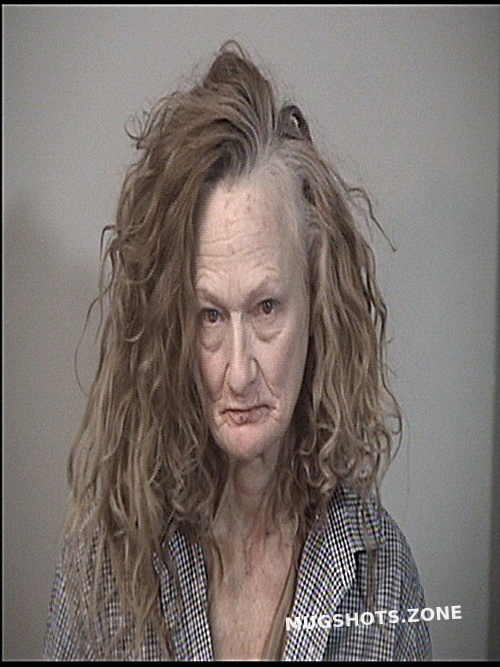 Duncan Cynthia Kay 12 05 2024 Rappahannock Regional Jail Mugshots Zone