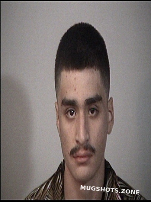 CASTRO RAMIREZ RICARDO 12/11/2024 - Rappahannock Regional Jail Mugshots ...