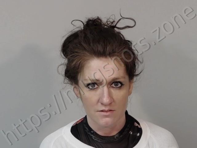 PATES ANNE MORGAN 04/06/2026 - Rappahannock Regional Jail Mugshots Zone