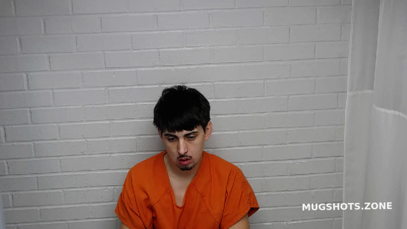 BRIGMAN AUSTIN DWAYNE 11/10/2024 - Richmond County Mugshots Zone