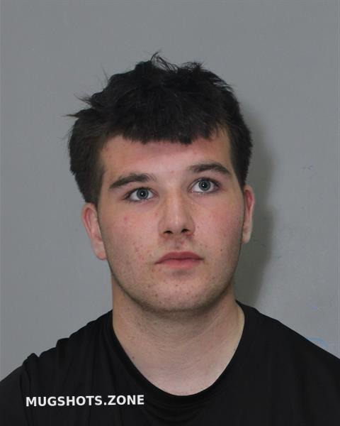 MCLEAN LOGAN 07/30/2024 - Riverside Regional Jail Mugshots Zone