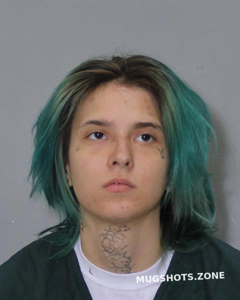 VAUGHAN TRACI LEIGH 10/12/2024 - Riverside Regional Jail Mugshots Zone