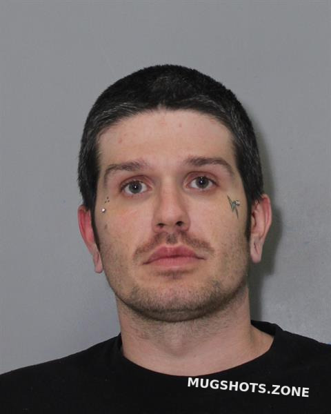 REEVES JORDAN TYLER 11/17/2024 - Riverside Regional Jail Mugshots Zone