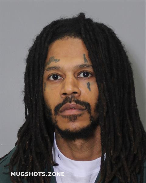 DAVIS SHAWN MALCOM 01/15/2025 - Riverside Regional Jail Mugshots Zone