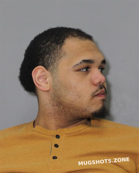 WILLIAMS DAYON 01/16/2025 - Riverside Regional Jail Mugshots Zone
