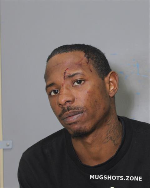 RAY AARON 01/26/2025 - Riverside Regional Jail Mugshots Zone