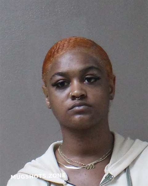 JONES MICHELLE SHERISE 04/08/2025 - Riverside Regional Jail Mugshots Zone