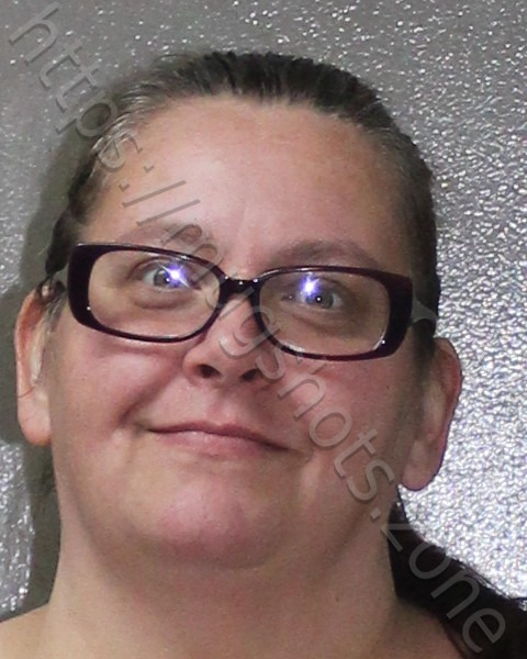 BEAGLE DAWN MARY 03/17/2026 - Riverside Regional Jail Mugshots Zone