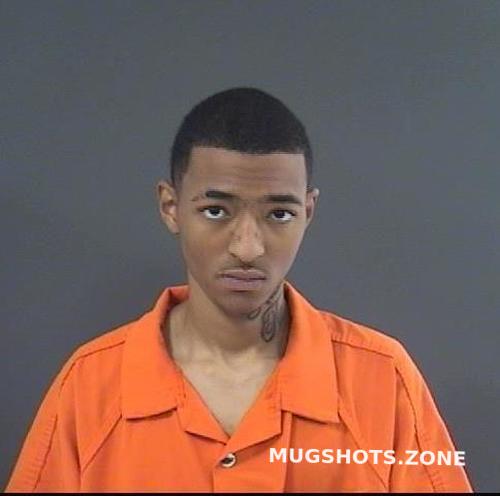 JOHNSON TREVION 06/14/2021 - Roanoke Mugshots Zone