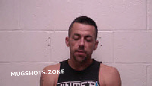 Henley Raymond Lee 11 26 2023 Robertson County Mugshots Zone
