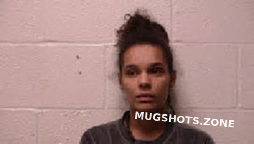 JAMES SHALA MAE 02/10/2025 - Robertson County Mugshots Zone