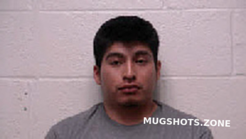 REYES RENE HERNANDEZ 03/19/2025 - Robertson County Mugshots Zone