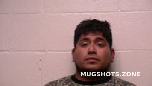 HERNANDEZ JESUS MAURICIO 05/16/2025 - Robertson County Mugshots Zone