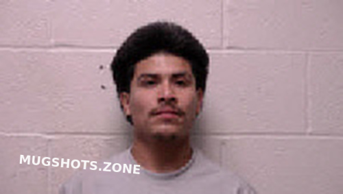 GARCIA PABLO BRYAN 06/01/2025 - Robertson County Mugshots Zone