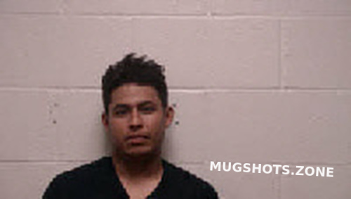 SOSA-CRUZ EMANUEL ENRIQUE 06/07/2025 - Robertson County Mugshots Zone
