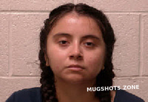 FRAIRE ANGELICA MARIE 06/20/2025 - Robertson County Mugshots Zone