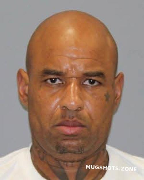 SAMMIE MCGEE 11/17/2022 - Robertson County Mugshots Zone