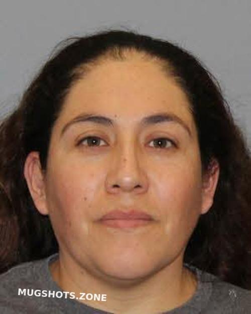 GLORIA GOMEZ 02/11/2023 - Robertson County Mugshots Zone