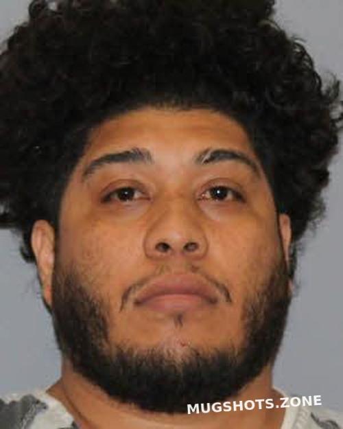 MANUEL REYES 03/26/2024 - Robertson County Mugshots Zone