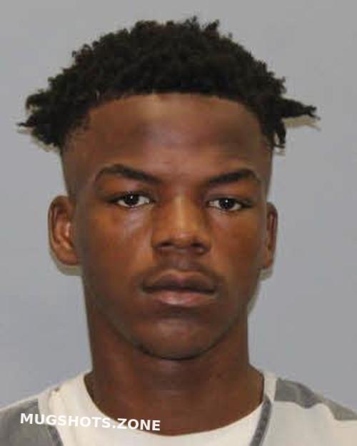 ALONZO MITCHELL 07/26/2024 - Robertson County Mugshots Zone