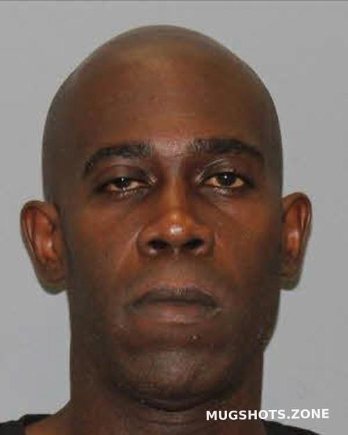 STEVEN HAMILTON 08/24/2024 - Robertson County Mugshots Zone