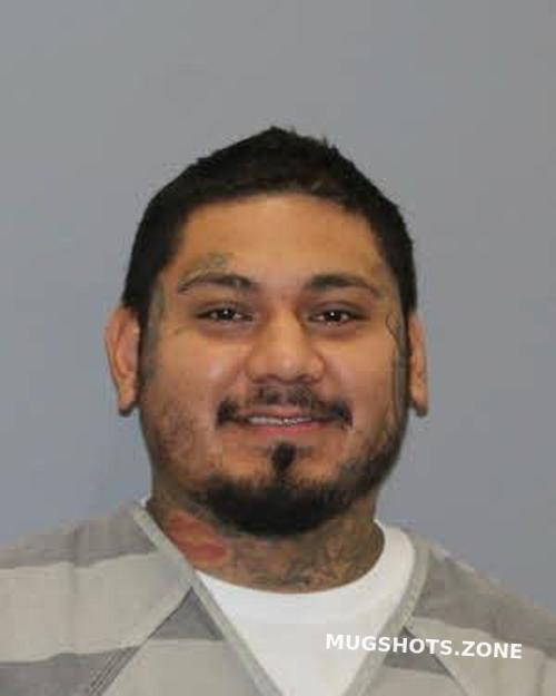 JOEL ZAMORRON 06/17/2025 - Robertson County Mugshots Zone