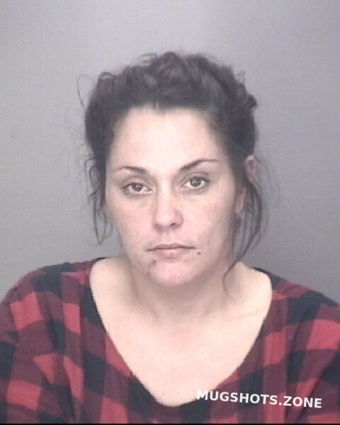 LOCKLEAR DEBBIE LYNN 02/08/2023 - Robeson County Mugshots Zone