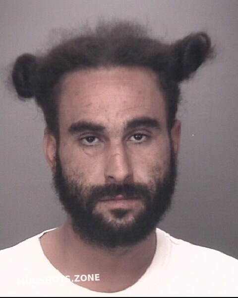 RICE TERRY WAYNE 11/04/2023 - Robeson County Mugshots Zone