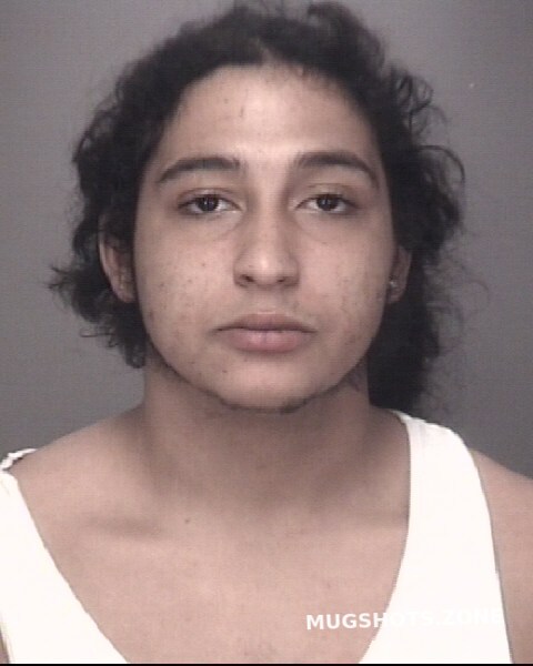 GABRIEL MICHAEL LAMONT 12/18/2023 - Robeson County Mugshots Zone