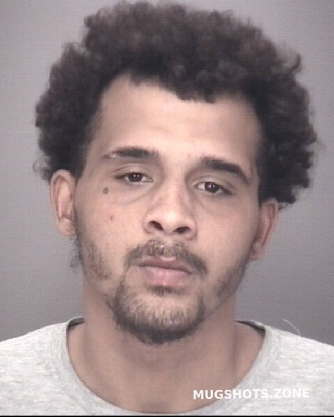 LOCKLEAR BRANDON DAKOTA 01/30/2024 - Robeson County Mugshots Zone